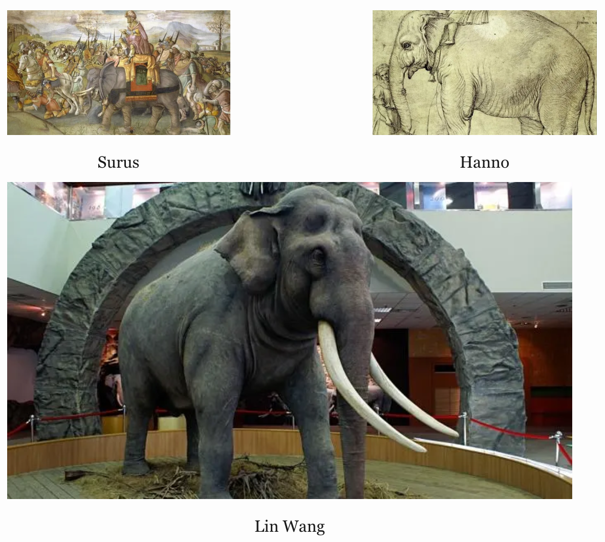 Introduction to Quarto