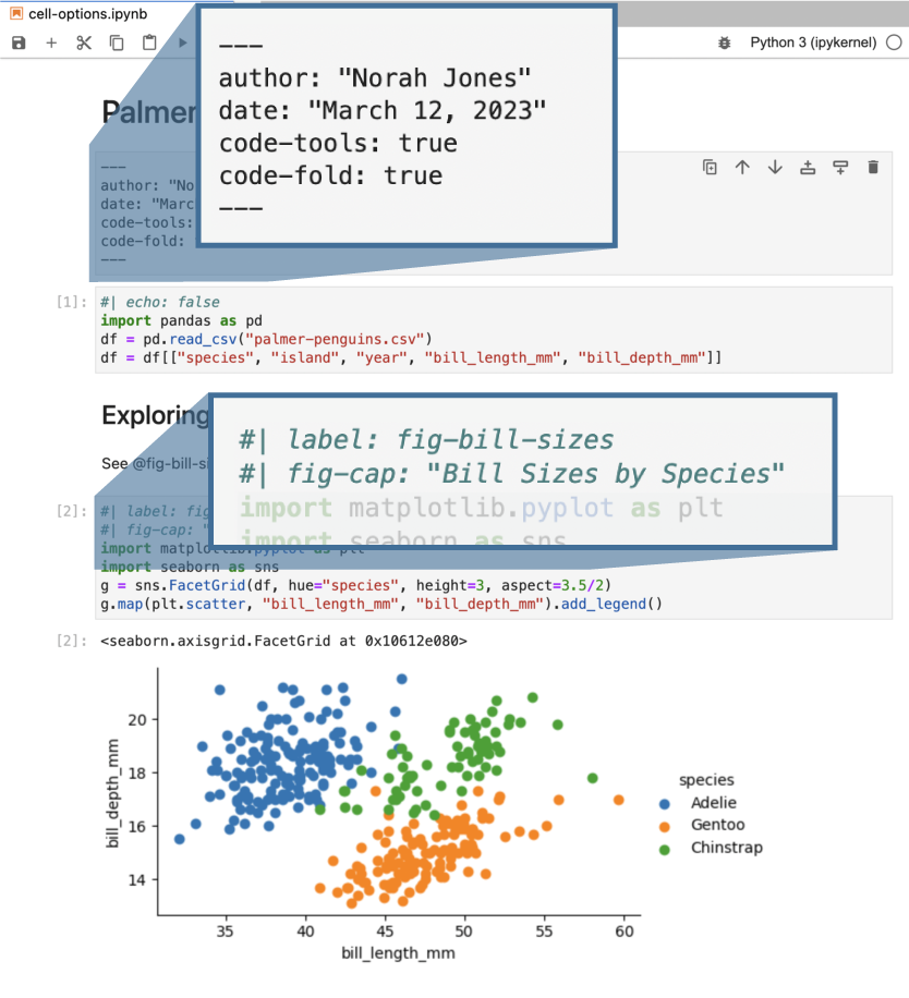 Publishing Jupyter Notebooks with Quarto